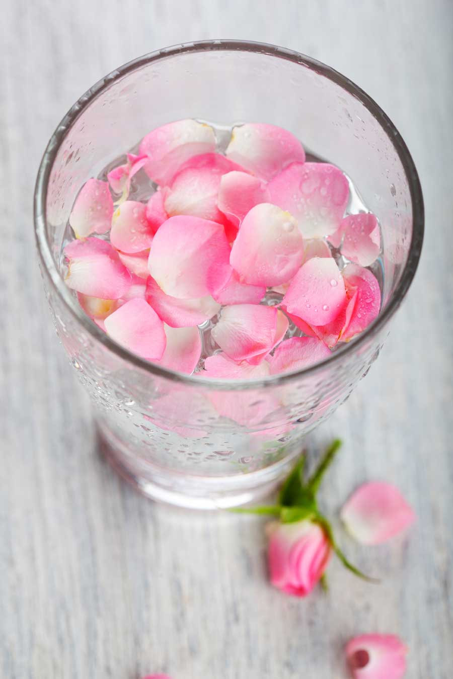 Try This At Home: Make Rosewater - Mother Earth Living